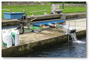 Fish counters - Calitri-Technology